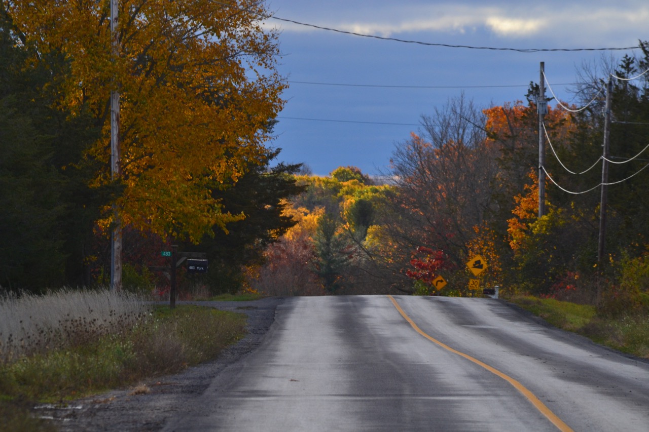 Subtle Differences – Andrew Binks