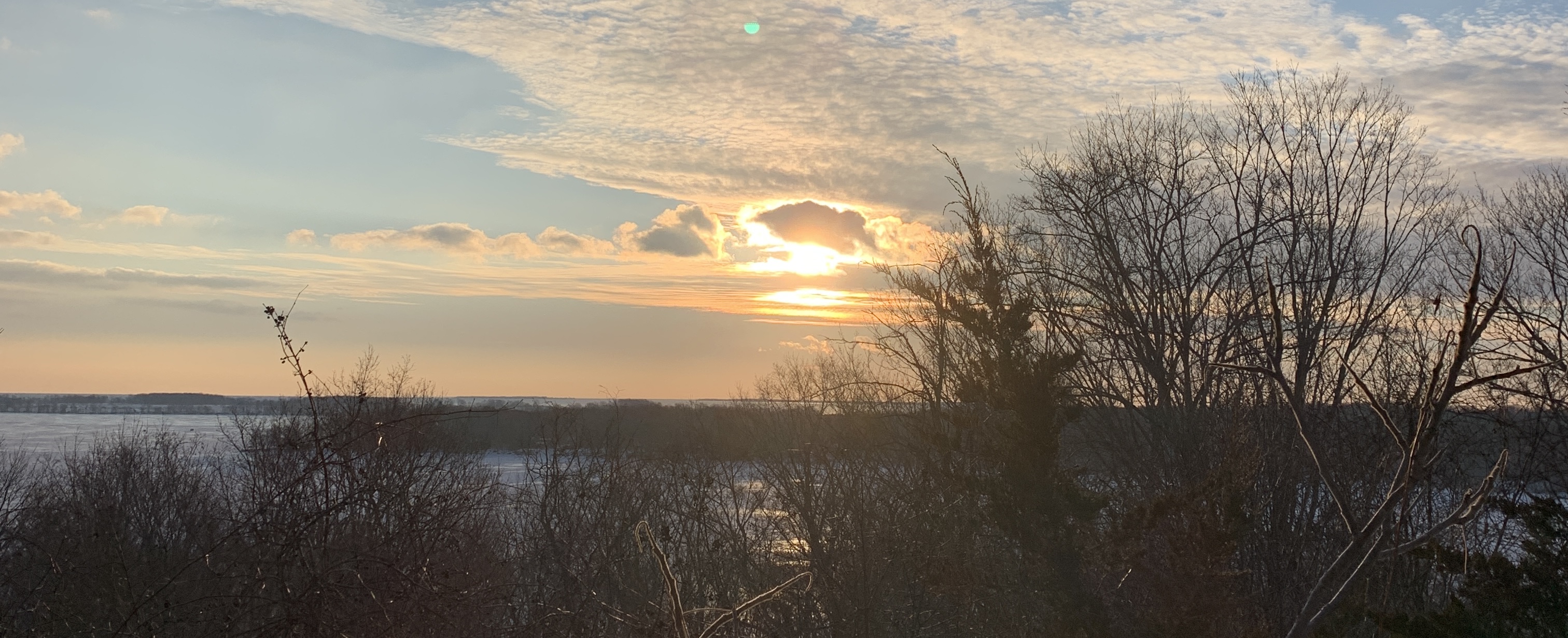 Morning mourning – Andrew Binks