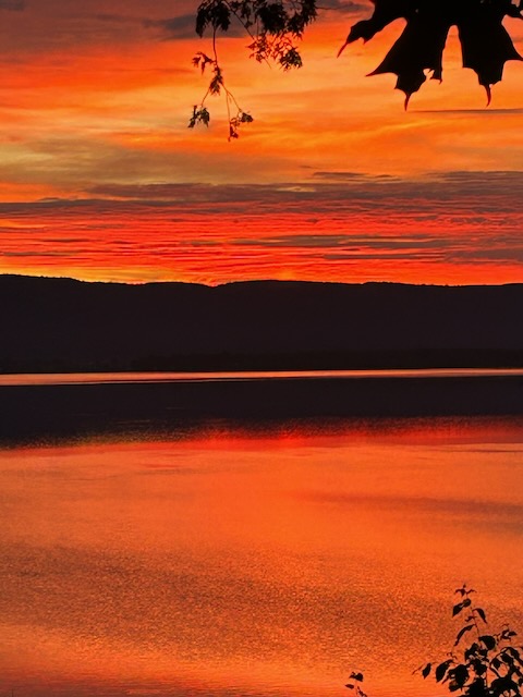 That Special Place – Andrew Binks